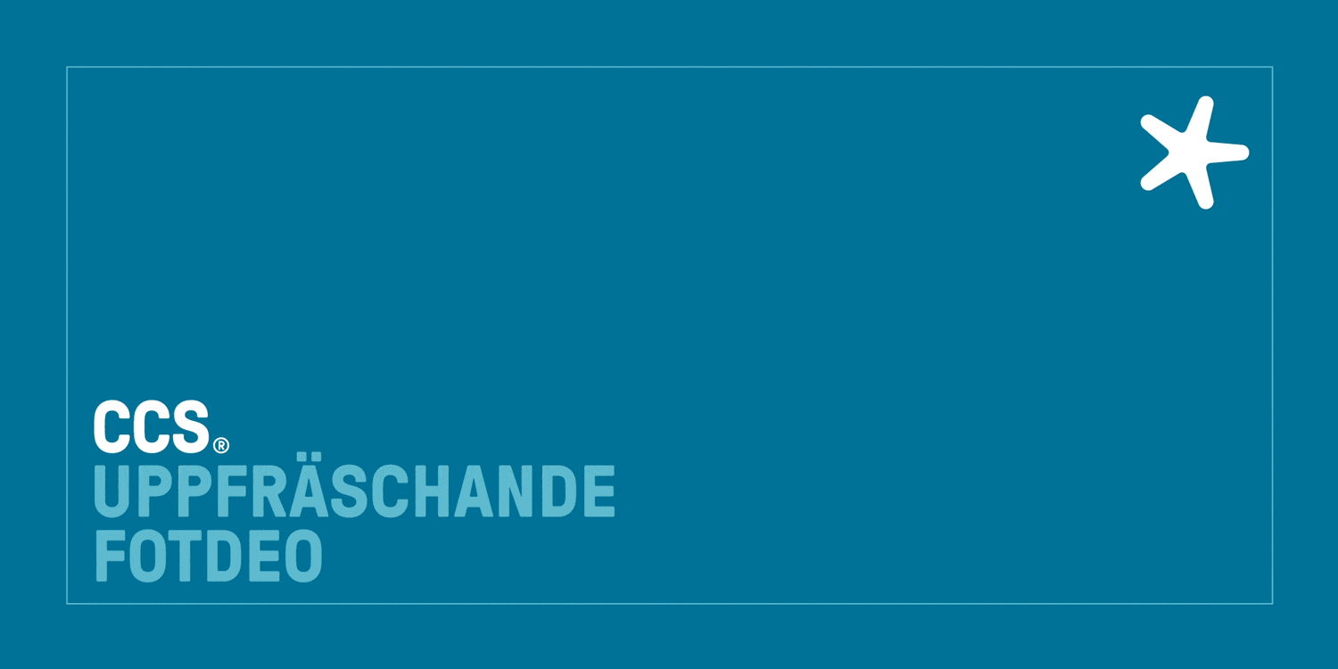 BVD | Vitalizing CCS