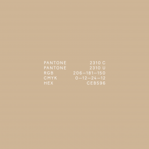 BVD | Branding Behrer